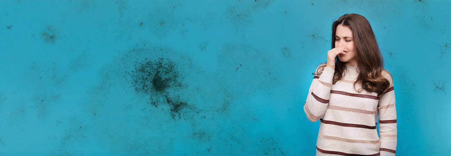 Como Resolver o Problema de Mau Cheiro Dentro de Casa - Thermomatic